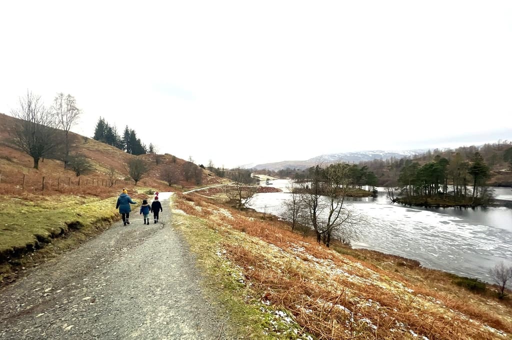 Tarn Hows Circular Walk - Lake District with Kids