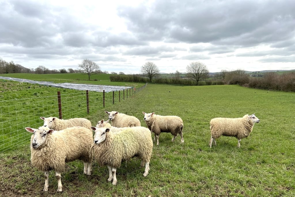 Low Sizergh Barn - Lake District with Kids