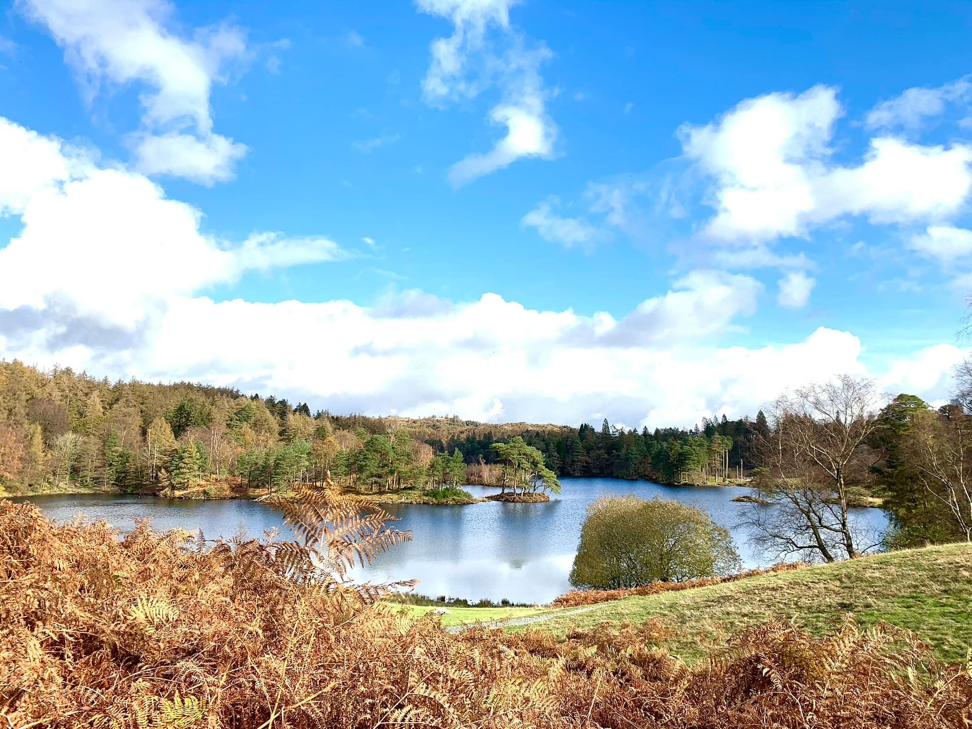 Tarn Hows Circular Walk - Lake District with Kids